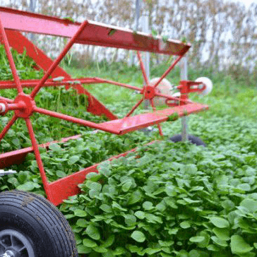 Greens Harvester - iGrowOrganic